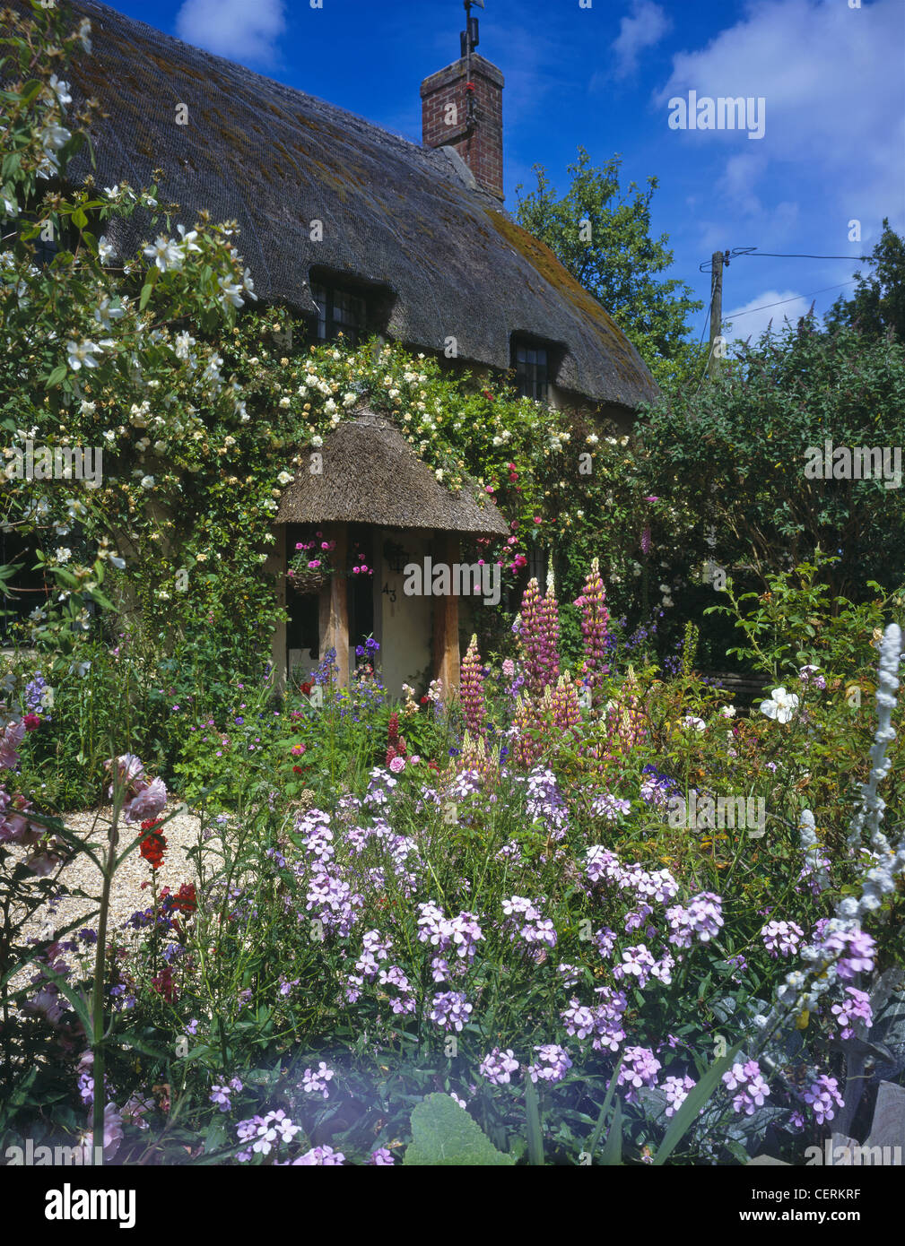 Thatched cottage and garden Stock Photo - Alamy