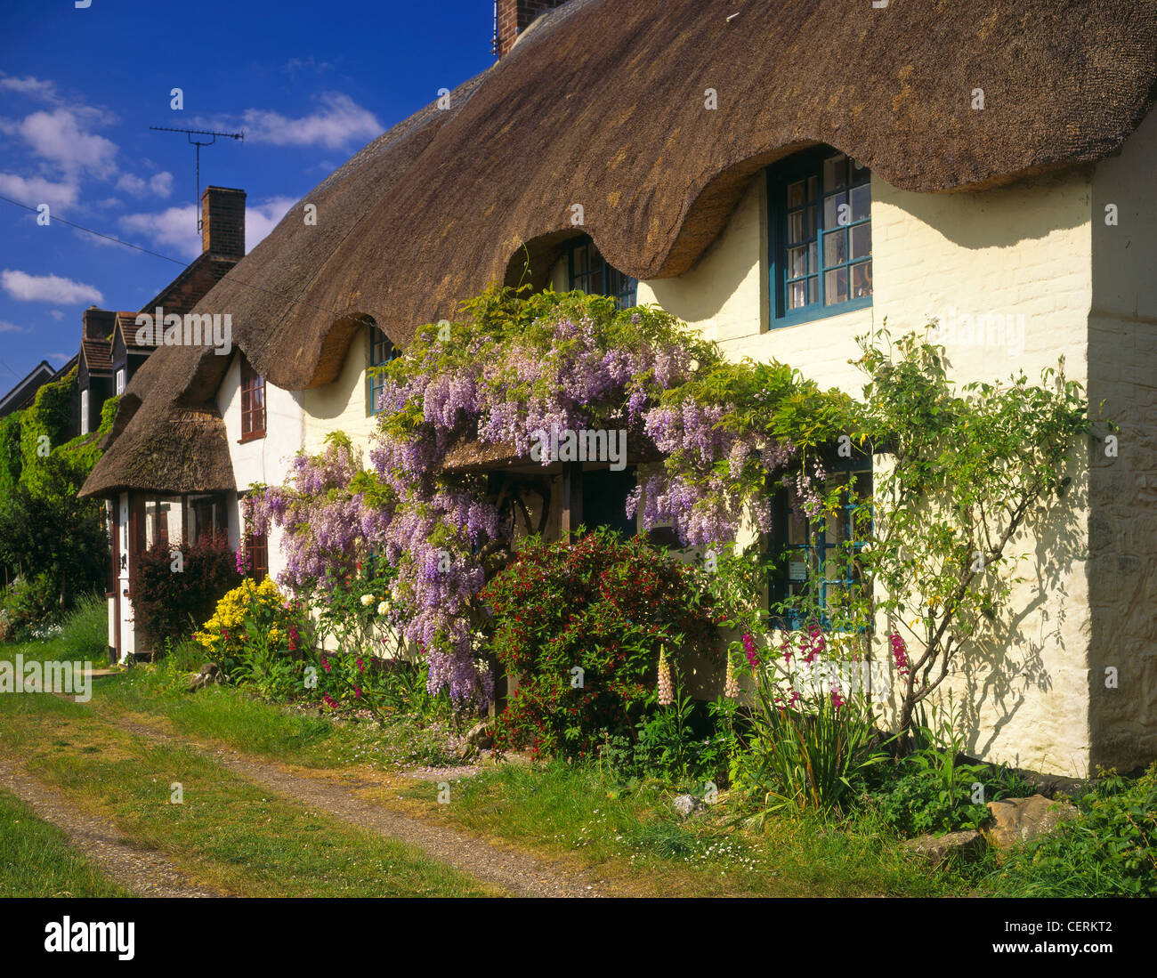 Thatched cottage with wisteria Stock Photo - Alamy