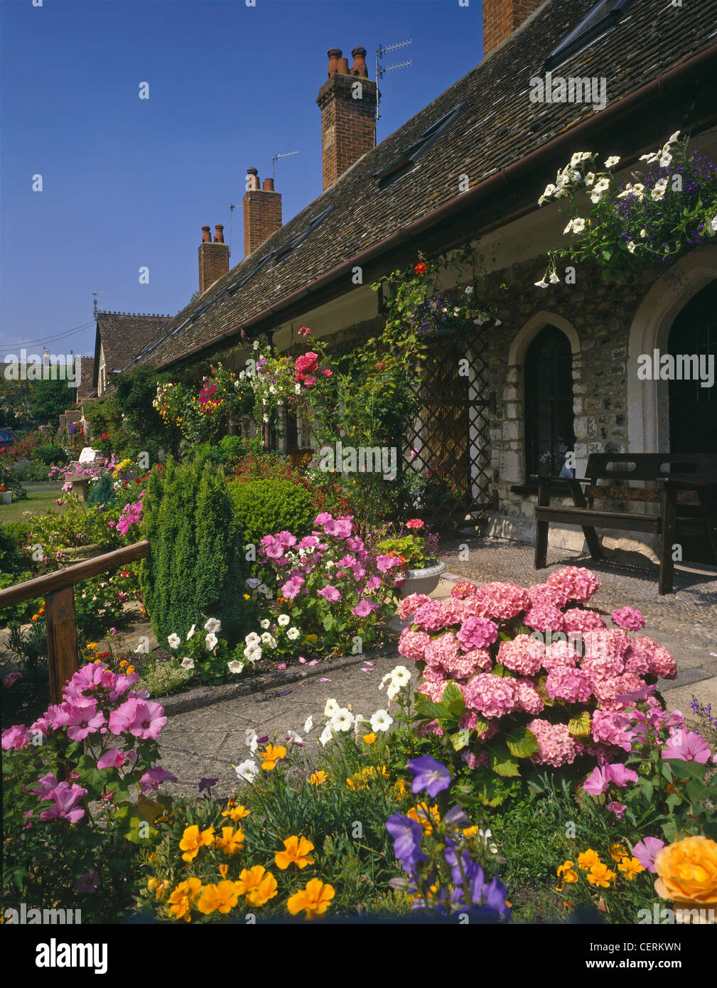 Flowers in bloom in a british garden hi-res stock photography and ...