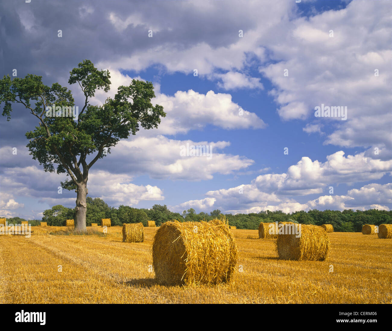 Westerfield High Resolution Stock Photography and Images - Alamy