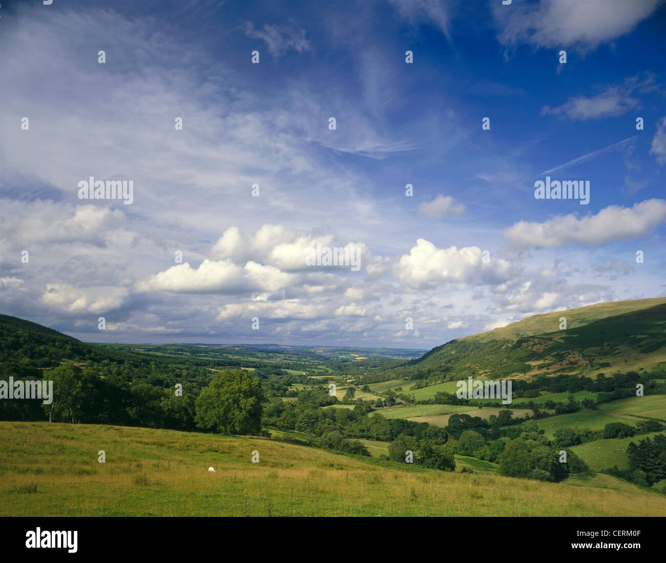 The Brecon National Park near Brecon town Stock Photo - Alamy