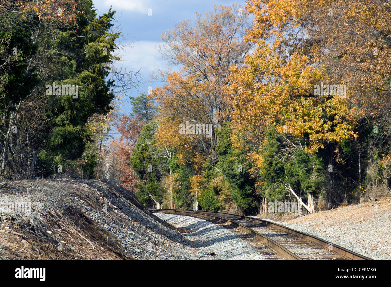 Railroad track amidst autumn foliage Stock Photo - Alamy