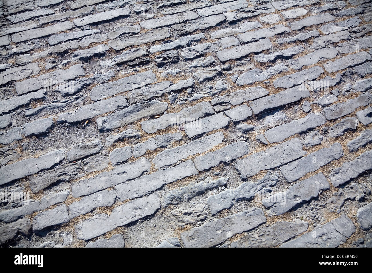 ancient Rock Path inside of forbidden city in beijing china Stock Photo ...