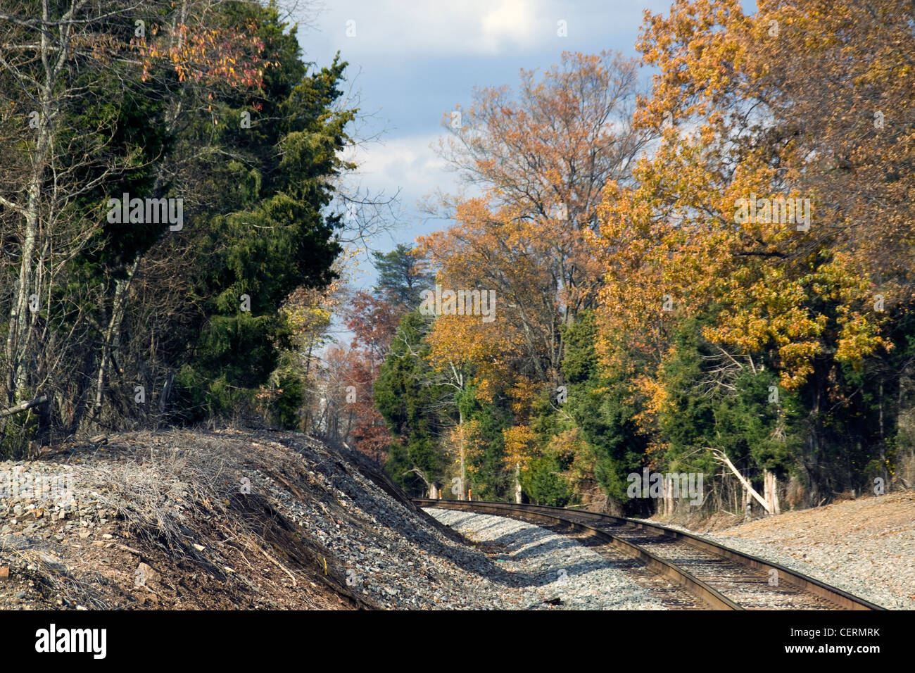 Railroad track amidst autumn foliage Stock Photo - Alamy