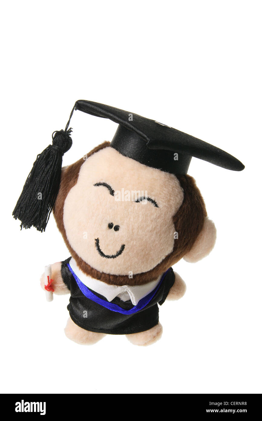 Soft Toy Graduation Monkey Stock Photo - Alamy