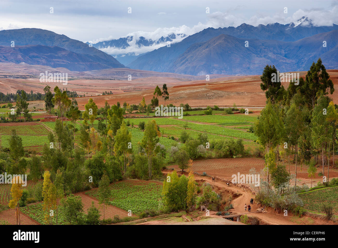 farmland nr Marras, with the Urubamaba Cordillera above the Sacred ...