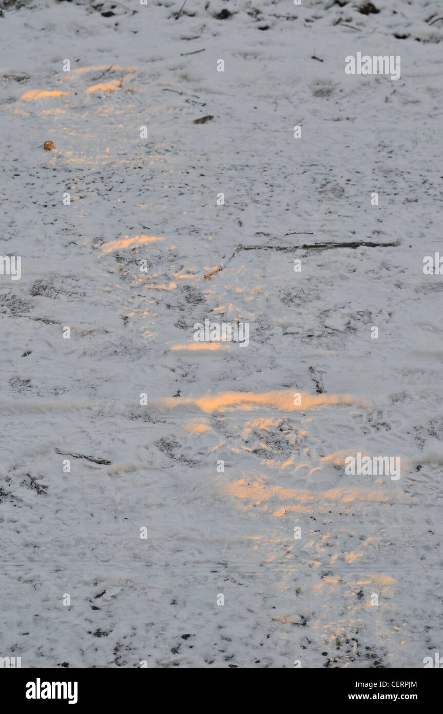 A ray of light on the snow Stock Photo - Alamy