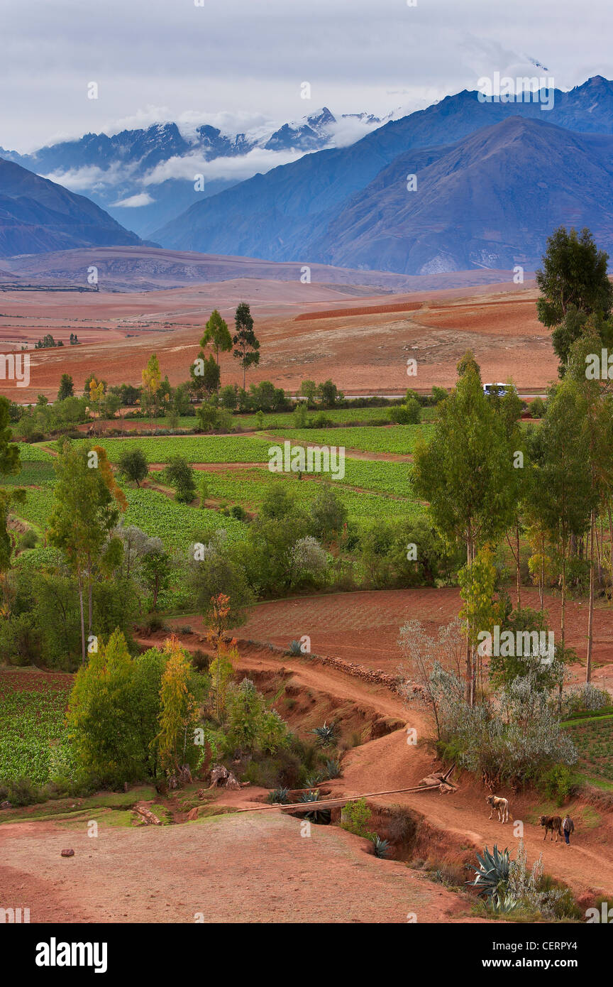 Chicon mountain hi-res stock photography and images - Alamy