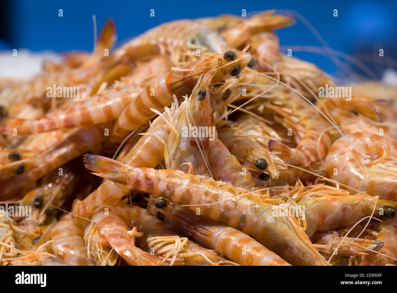 Fresh shrimp at a market Stock Photo - Alamy