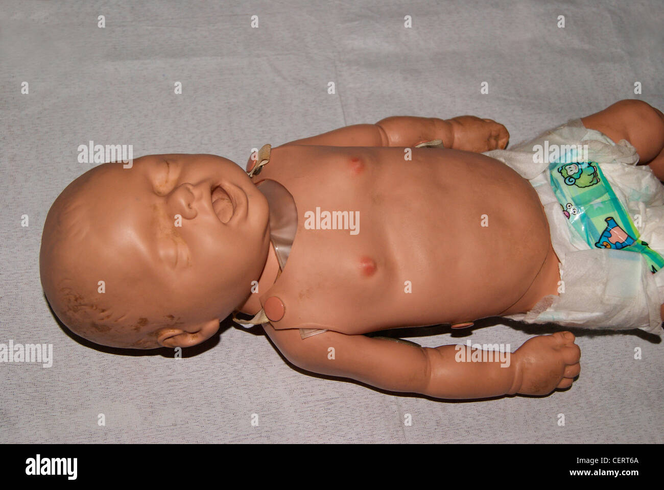 Medical Baby Model for the Illustration of Medical Studies,Public ...