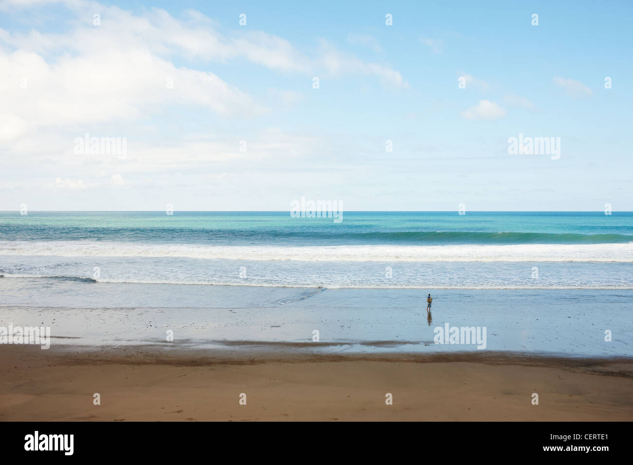 Beautiful wild beach of Pacific ocean Stock Photo - Alamy