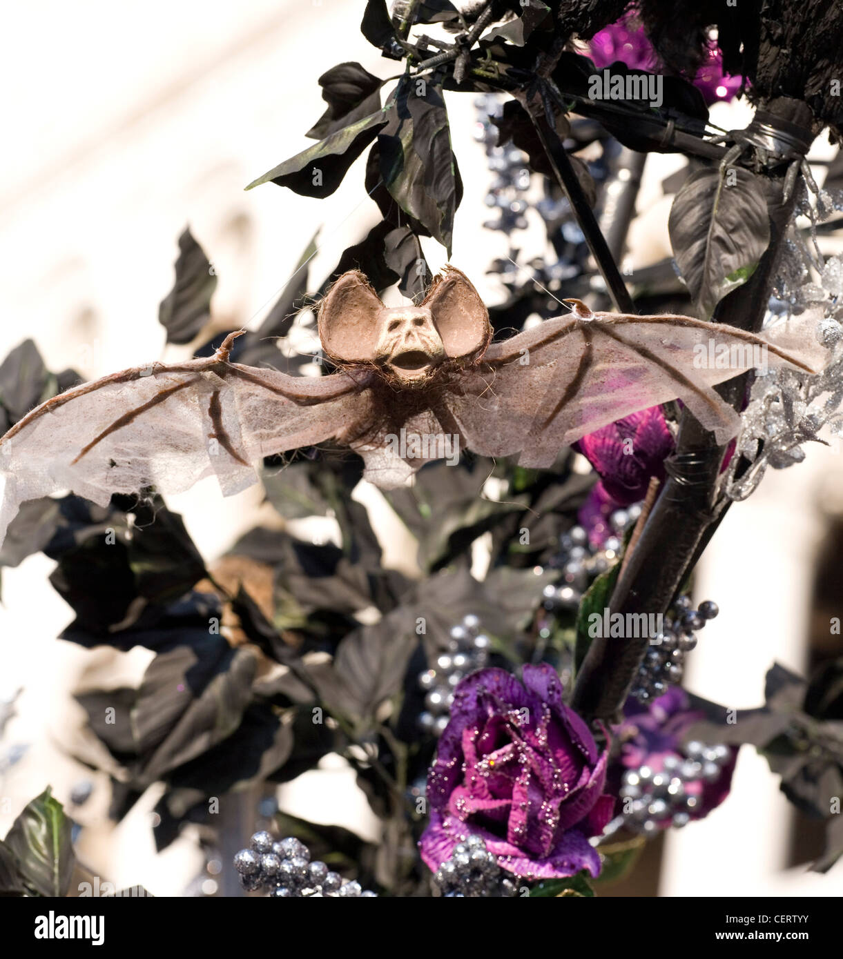 Bat texture hi-res stock photography and images - Alamy