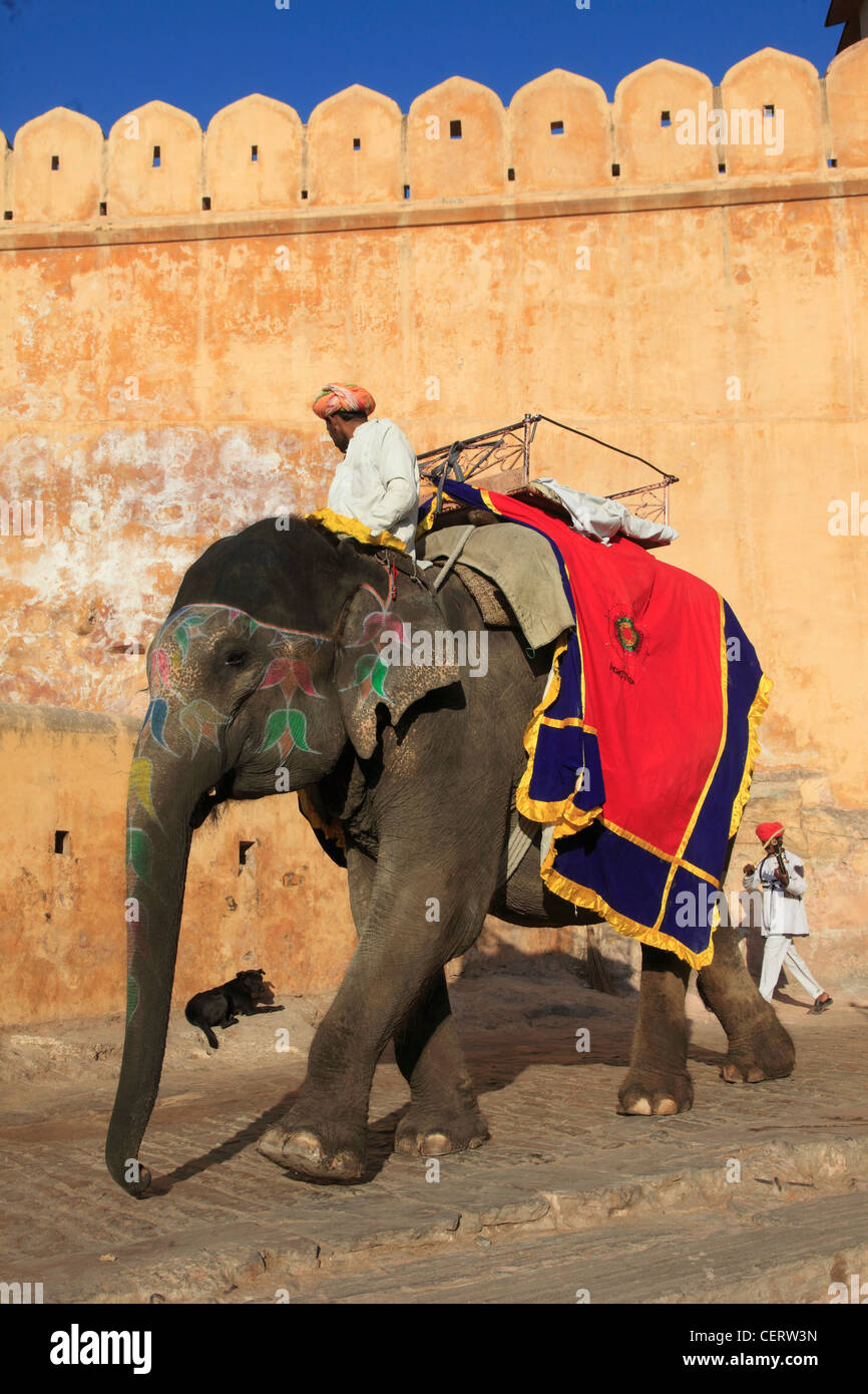 India, Rajasthan, Jaipur, Amber, Fort, elephant Stock Photo - Alamy