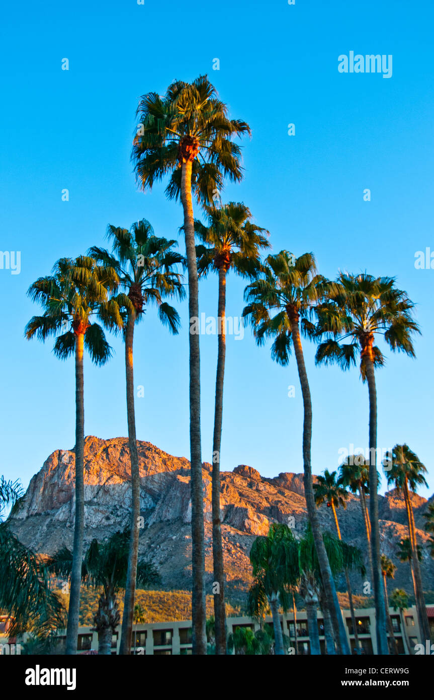 Scenic palm desert resort hi-res stock photography and images - Alamy