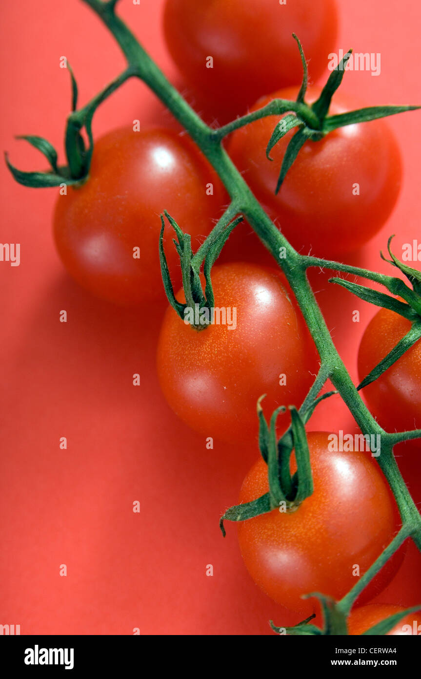Close up of tomatoes on a vine on a dusty red background Stock Photo ...