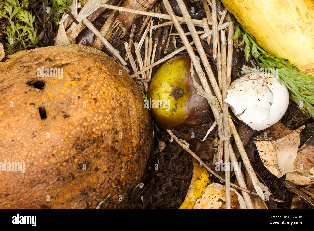 The earth in a pile of garbage hi-res stock photography and images - Alamy