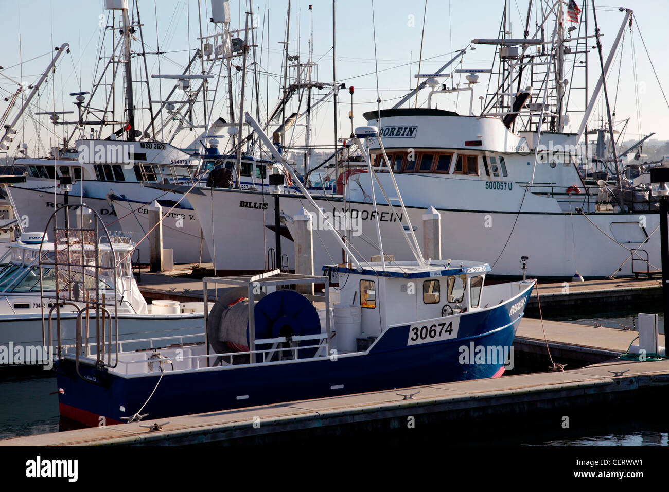 Tuna fleet hi-res stock photography and images - Alamy