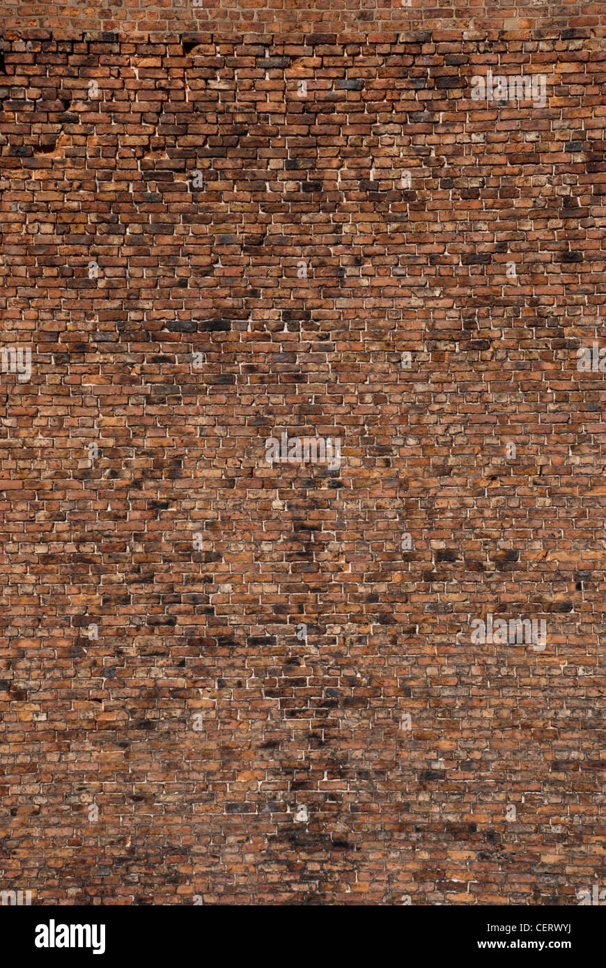 Large brick wall showing lots of courses of bricks ideal for background ...
