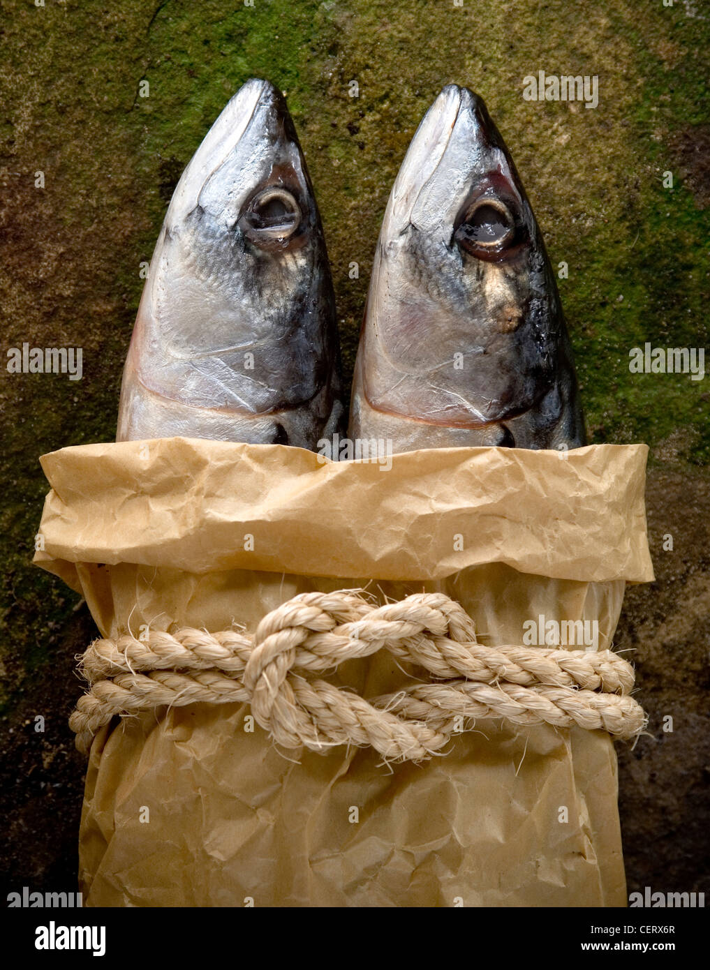 Horoscopes Pisces Two fish in a brown paper bag tied with string on a ...