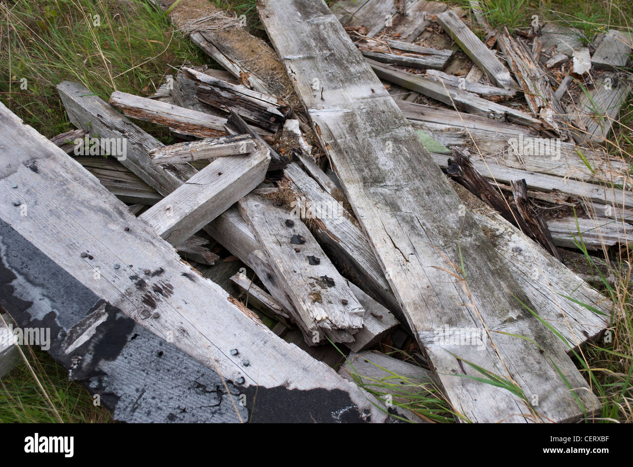 Rotting wood pile hi-res stock photography and images - Alamy