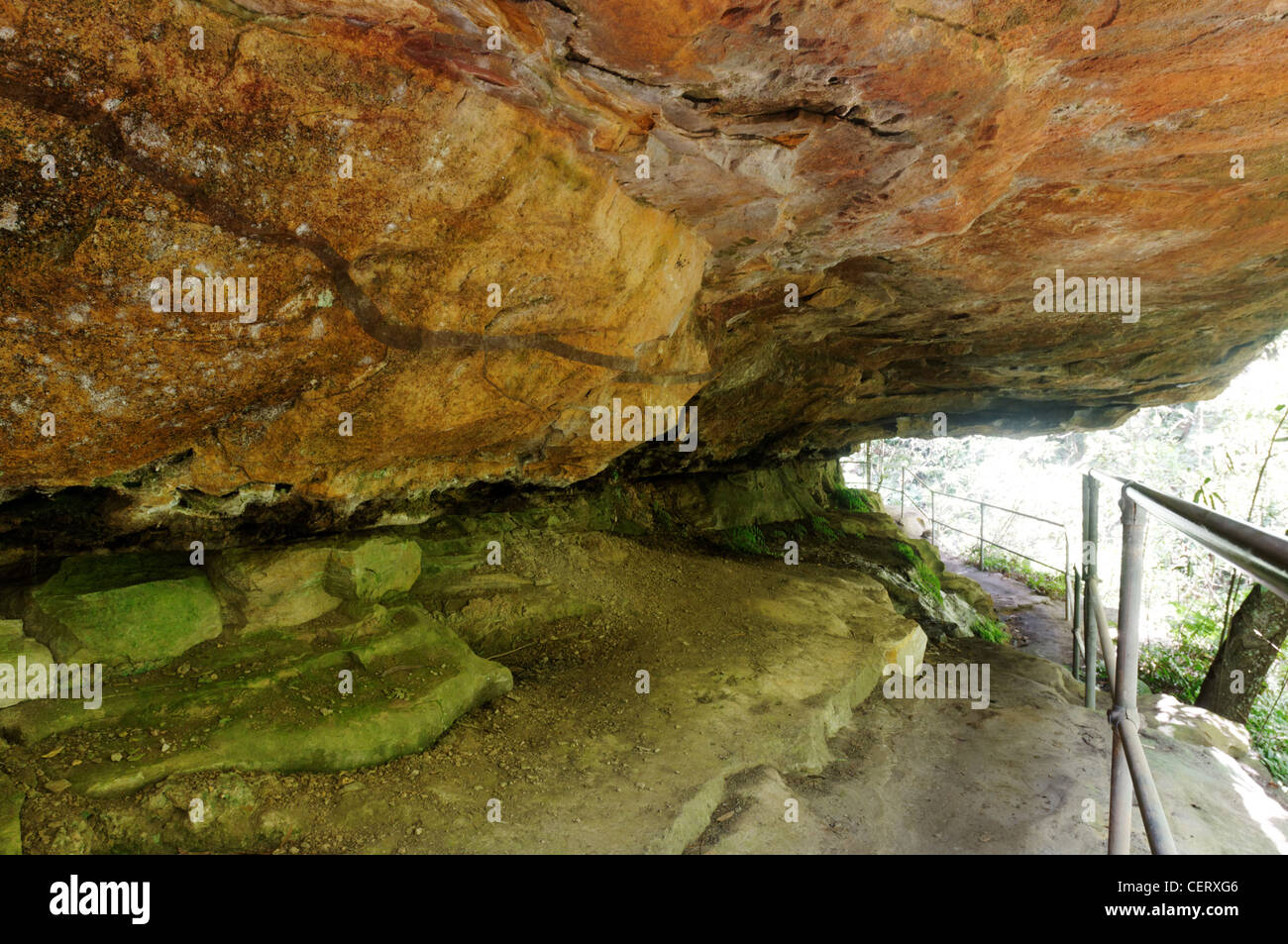A narrow footpath in the Blue Mountains, Australia Stock Photo - Alamy