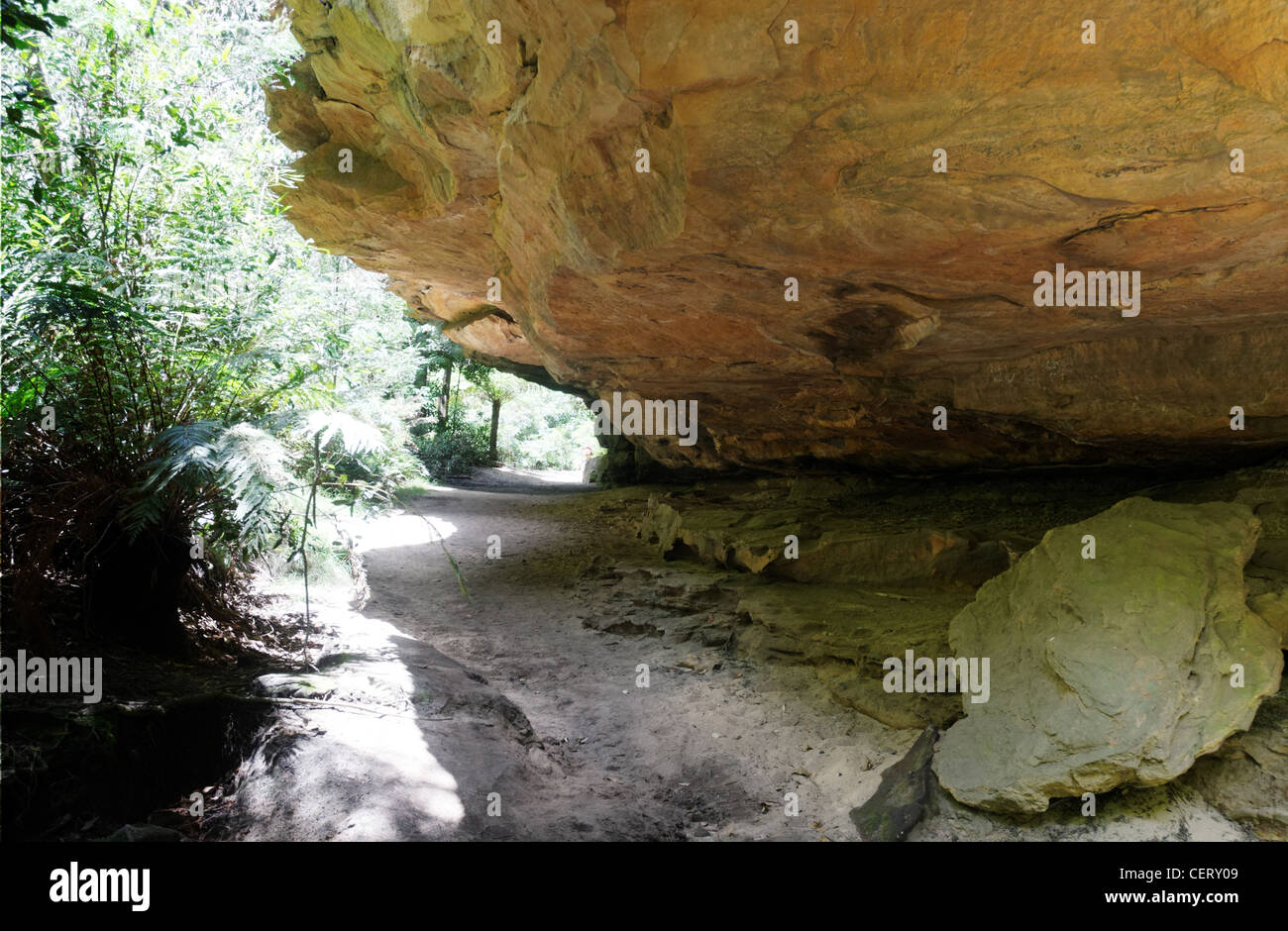 A narrow footpath in the Blue Mountains, Australia Stock Photo - Alamy