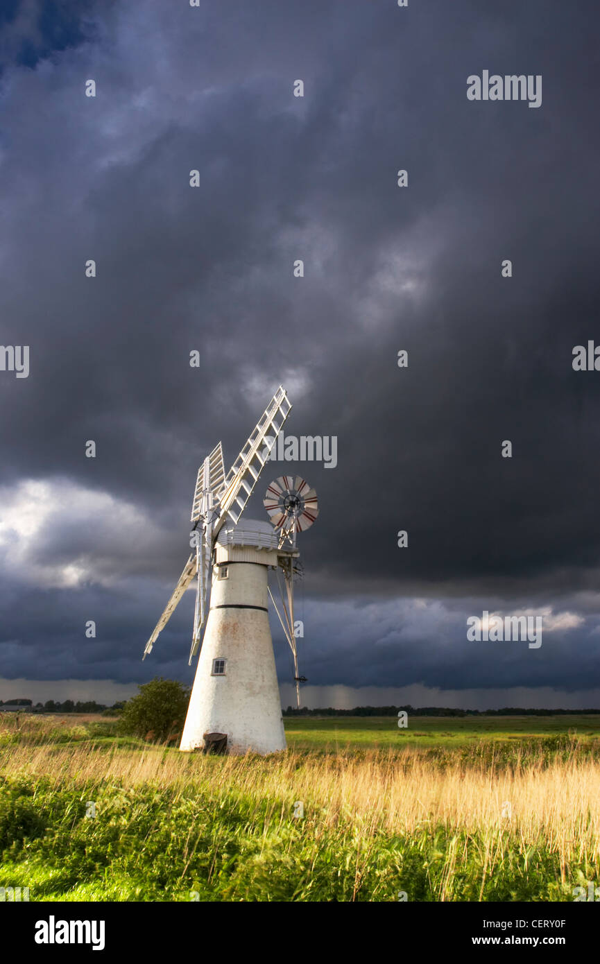 Thurne windmill summer hi-res stock photography and images - Alamy