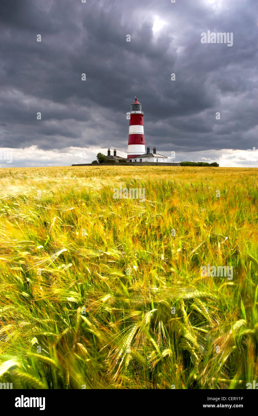 A view toward Happisburgh Lighthouse Stock Photo - Alamy