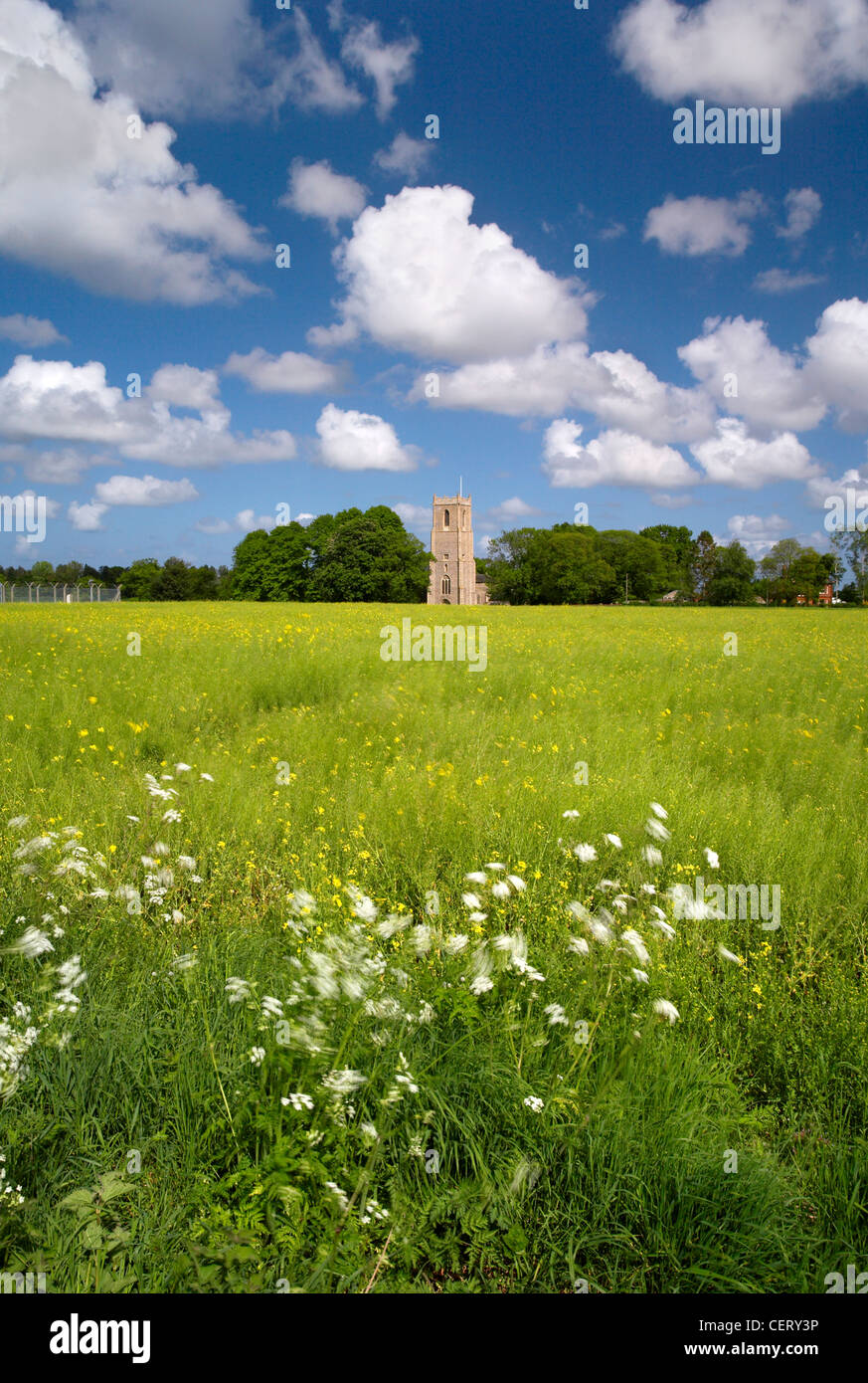 Traditional Norfolk flint Church of St. Michael and All Angels Stock ...