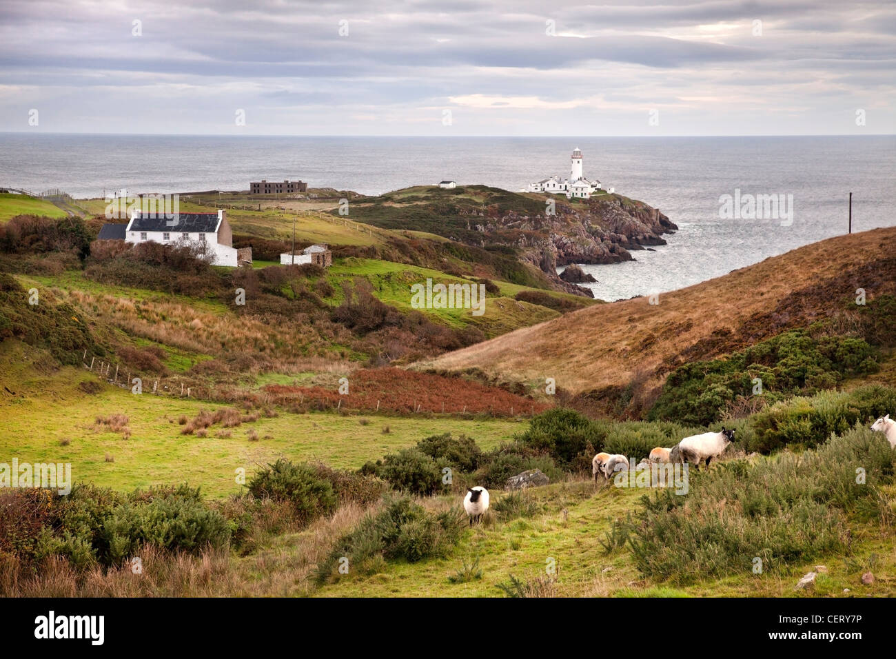 Fanad lighthouse donegal hi-res stock photography and images - Alamy