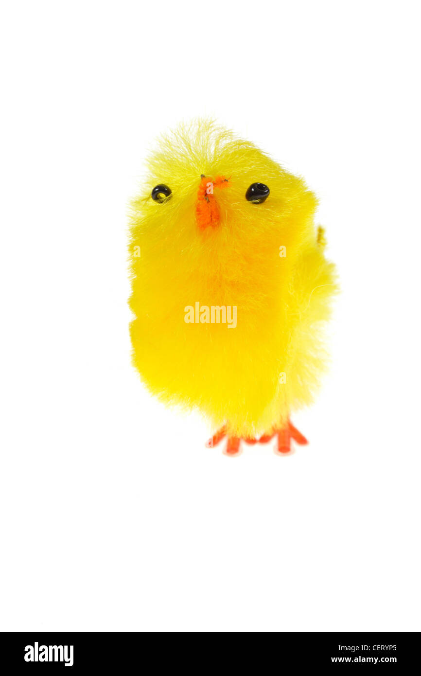 yellow chickling, photo on the white background Stock Photo - Alamy