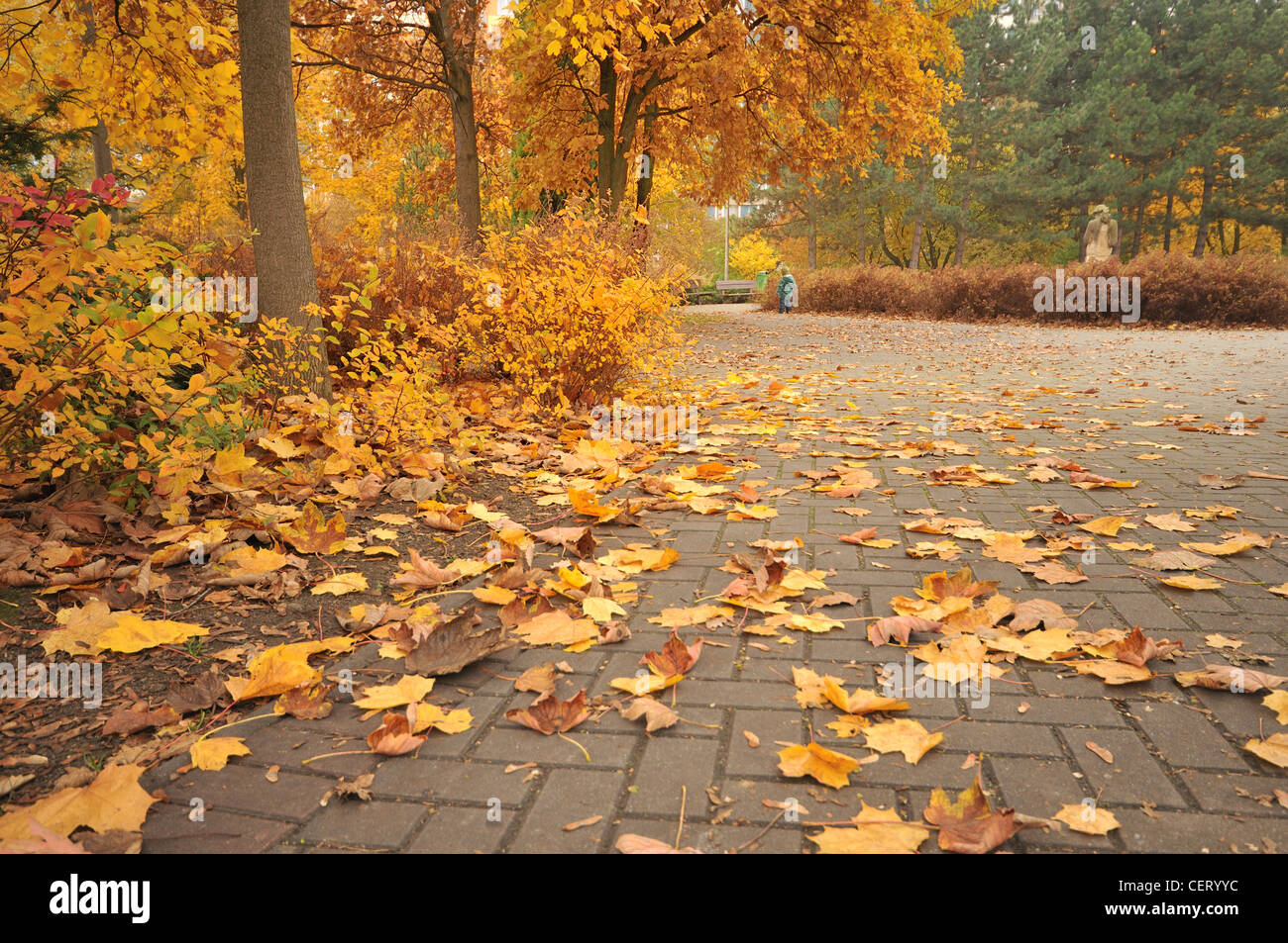 Autumn colours in park Stock Photo - Alamy