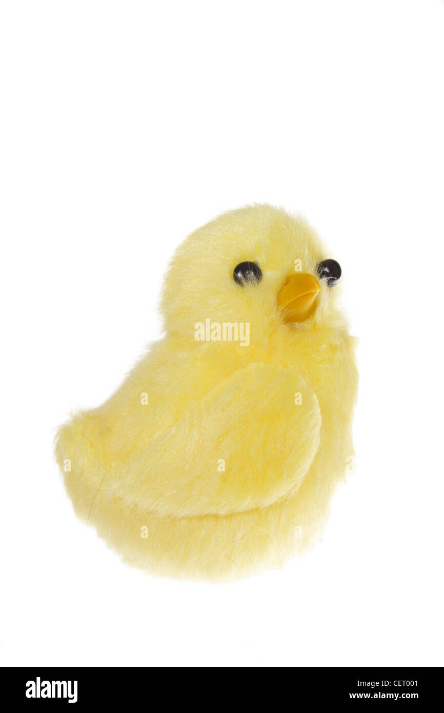 yellow chickling, photo on the white background Stock Photo - Alamy