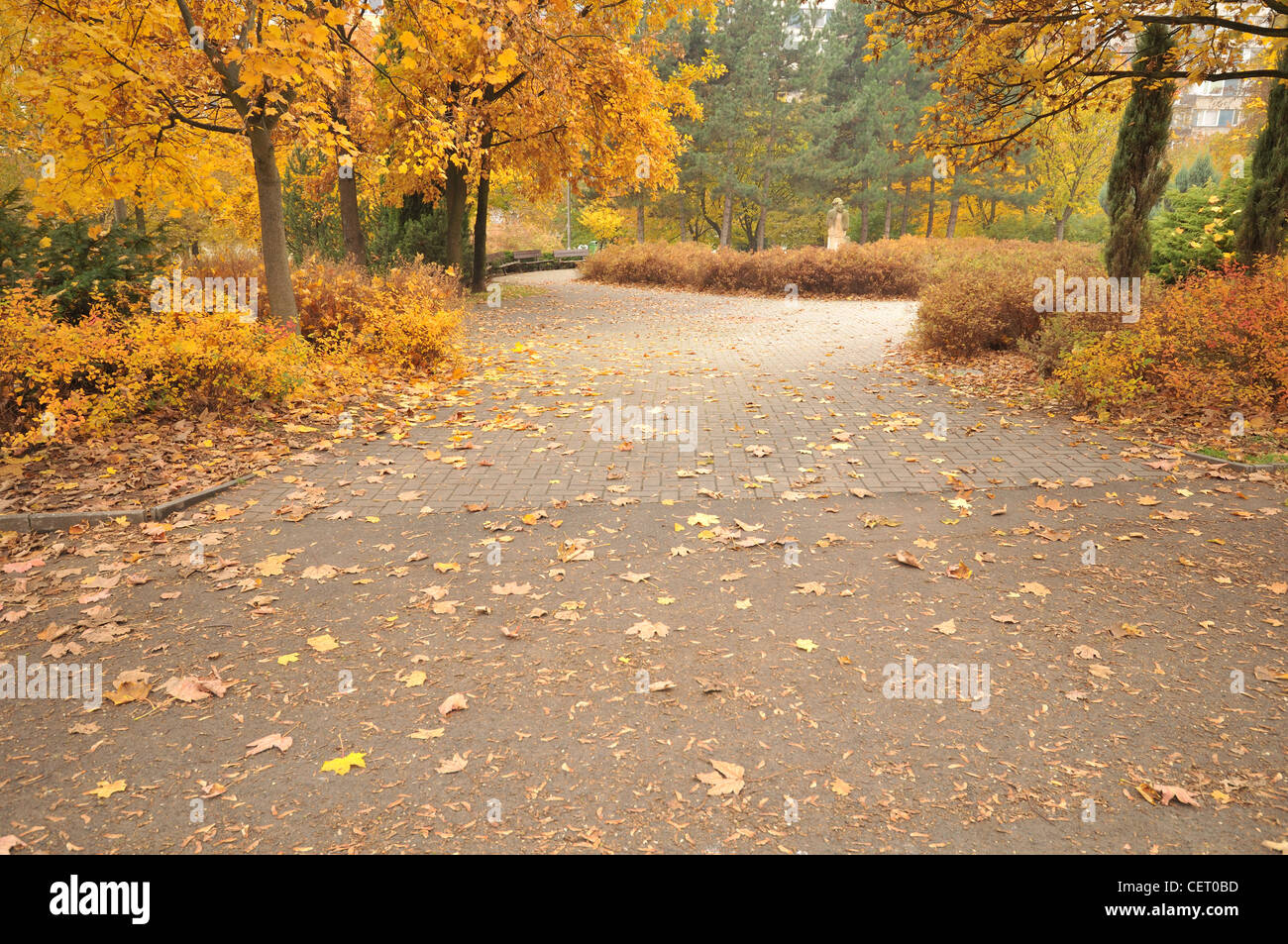 Autumn colours in park Stock Photo - Alamy