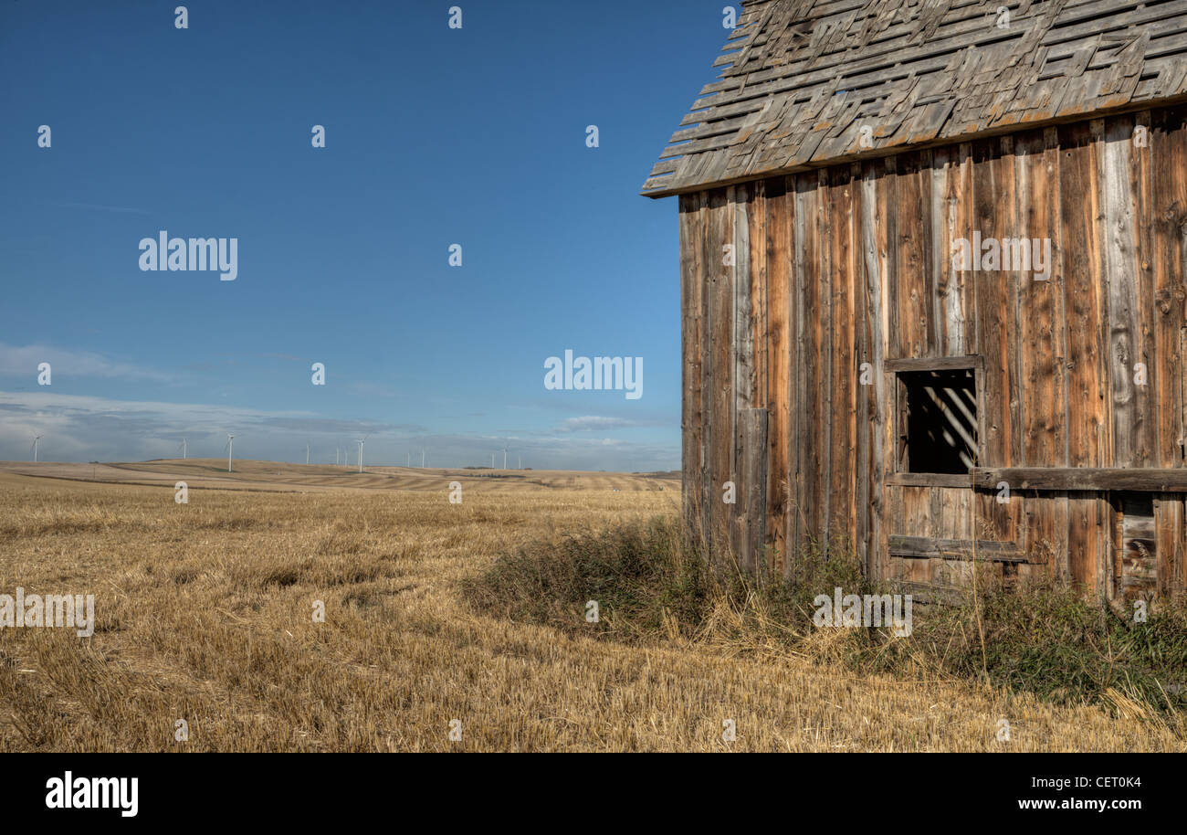 Alberta Prairie Building windfarm in Background Stock Photo - Alamy
