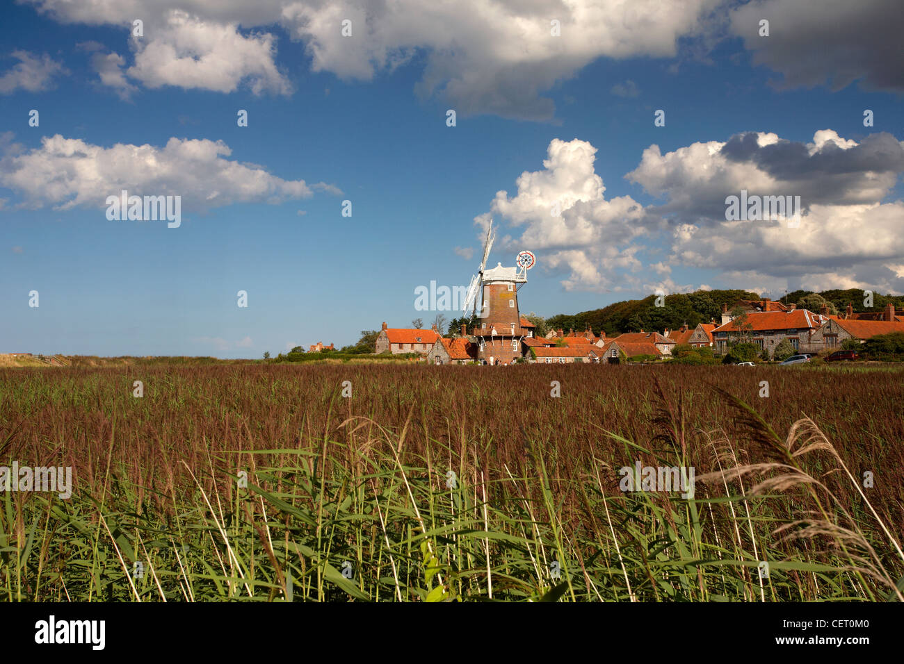 Norfolk reed beds hi-res stock photography and images - Alamy