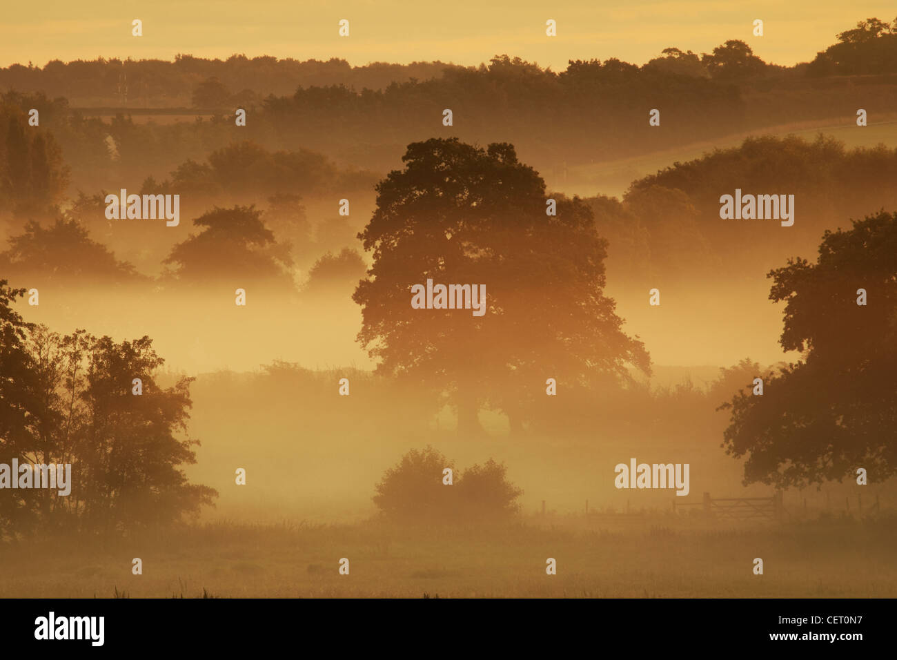 Mist over the Norfolk countryside on the outskirts of Norwich Stock ...