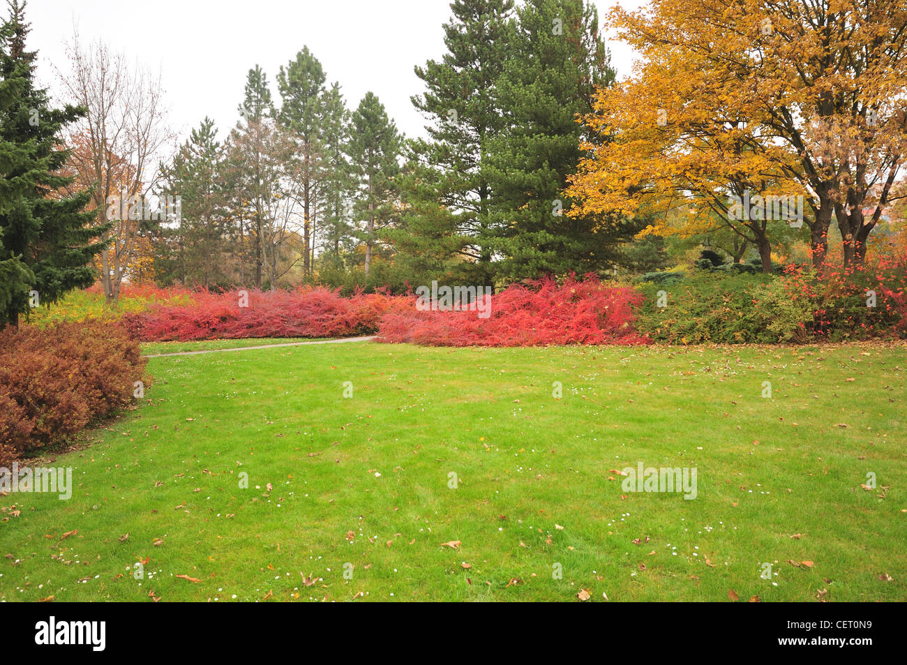 Autumn colours in park Stock Photo - Alamy