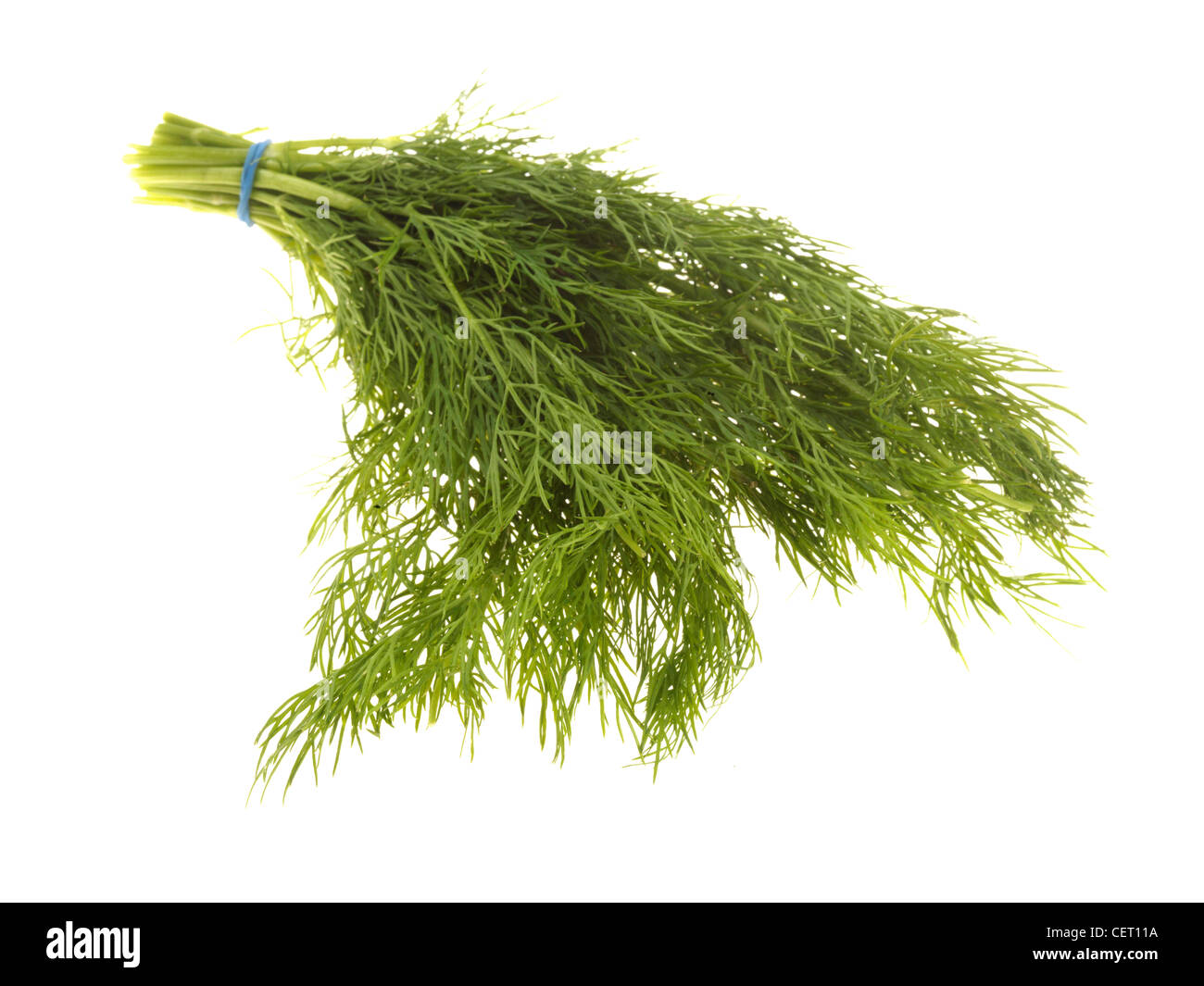 Dill sprig hi-res stock photography and images - Alamy