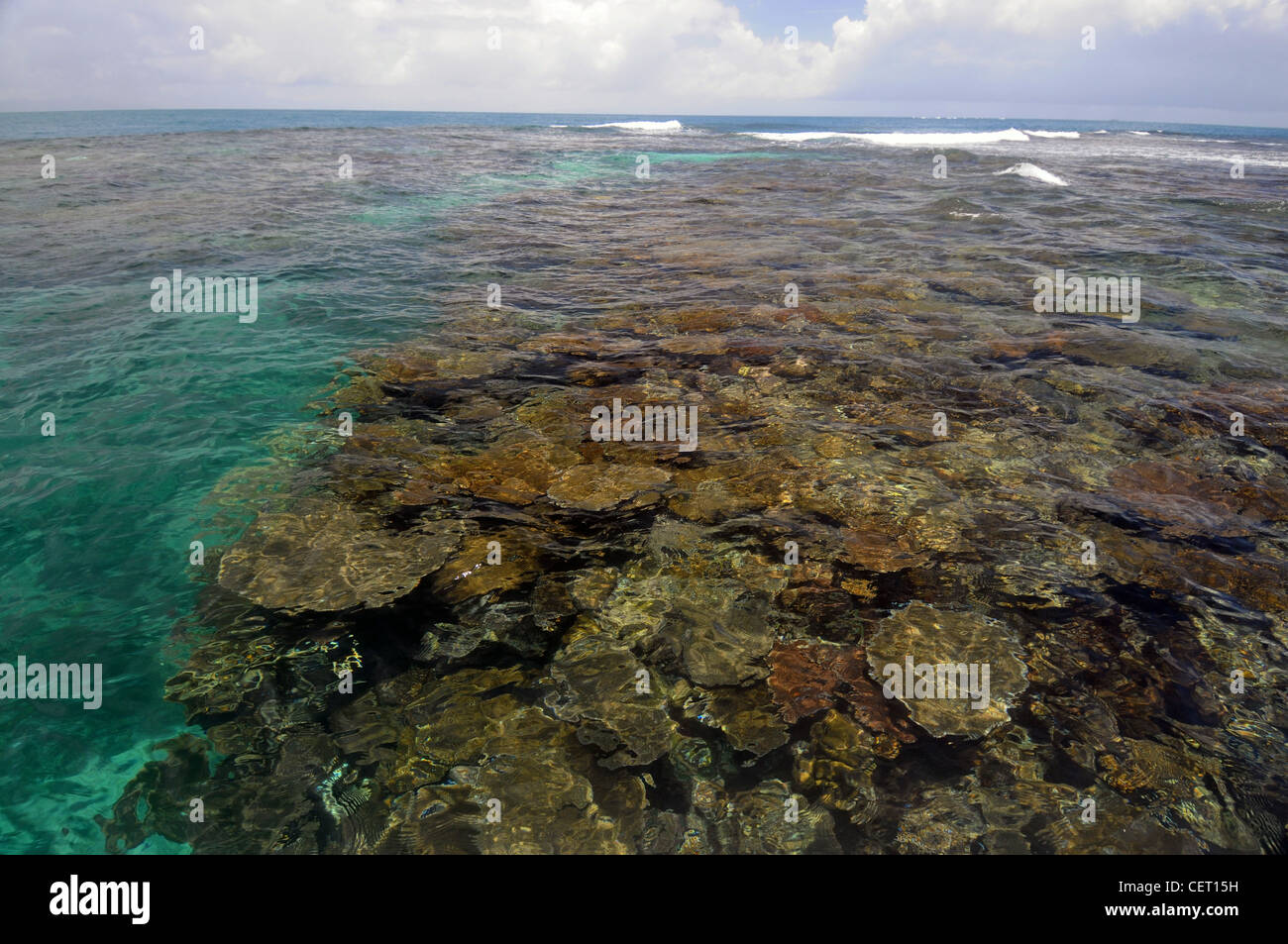 Coral reefs hi-res stock photography and images - Alamy