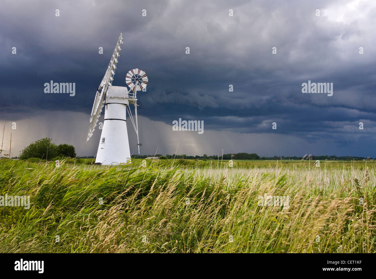 Thurne Windmill during a storm on the Norfolk Broads Stock Photo - Alamy