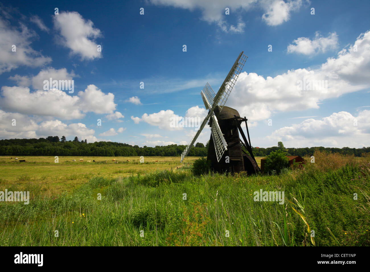 Herringfleet windmill located on the Norfolk and Suffolk Broads Stock ...
