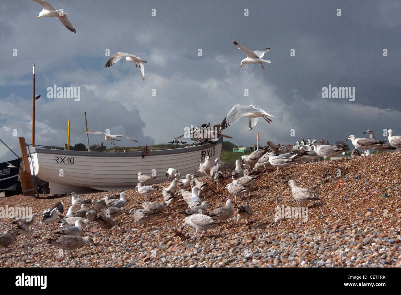 Hastings beach & seafront Stock Photo - Alamy