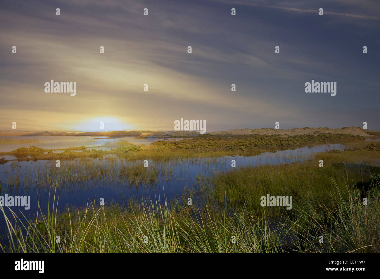 sunset into the marsh Stock Photo - Alamy