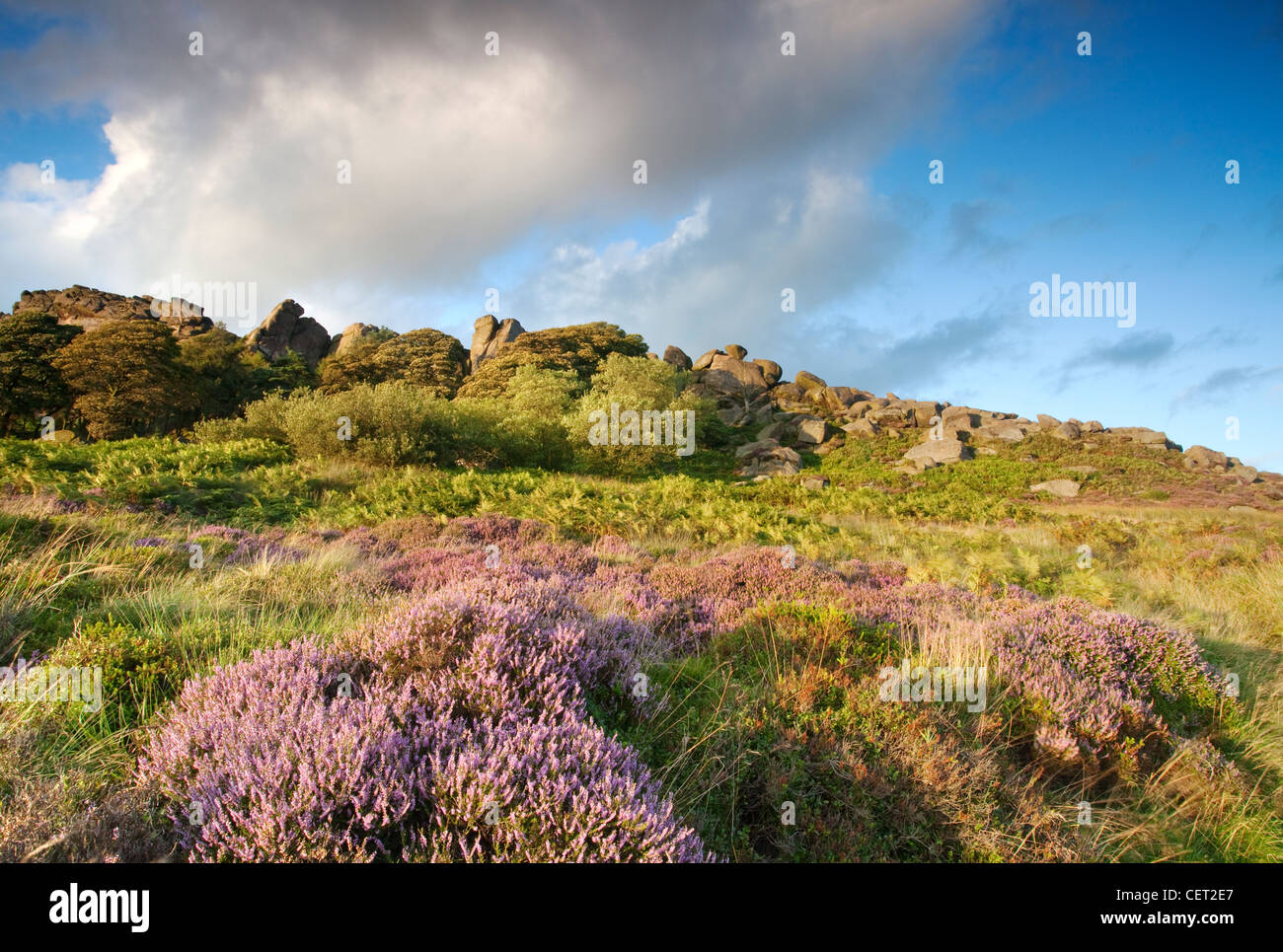 The Roaches, a wind-carved outcrop of gritstone rocks, illuminated by ...