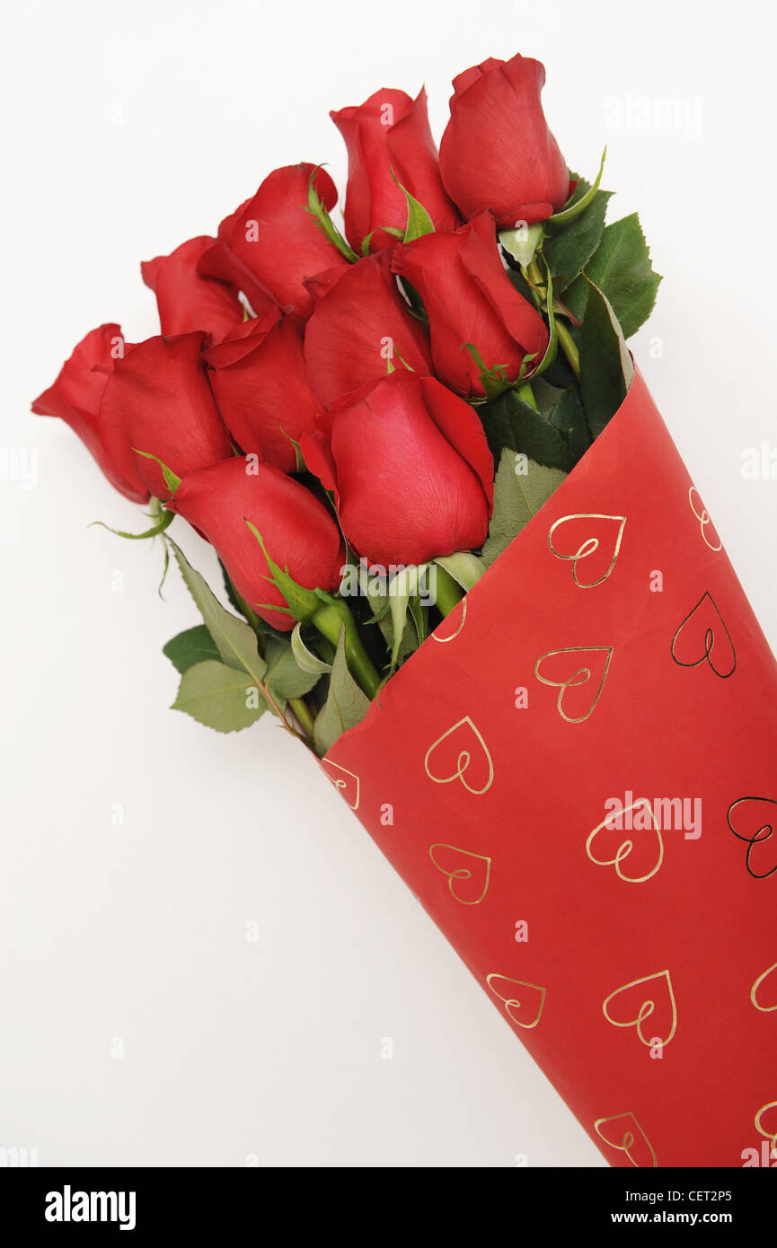 A still life image of a bunch of red roses wrapped in red paper with ...