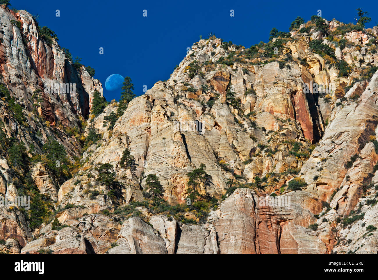 A nearly full moon descending between two mountain peaks at Zion ...