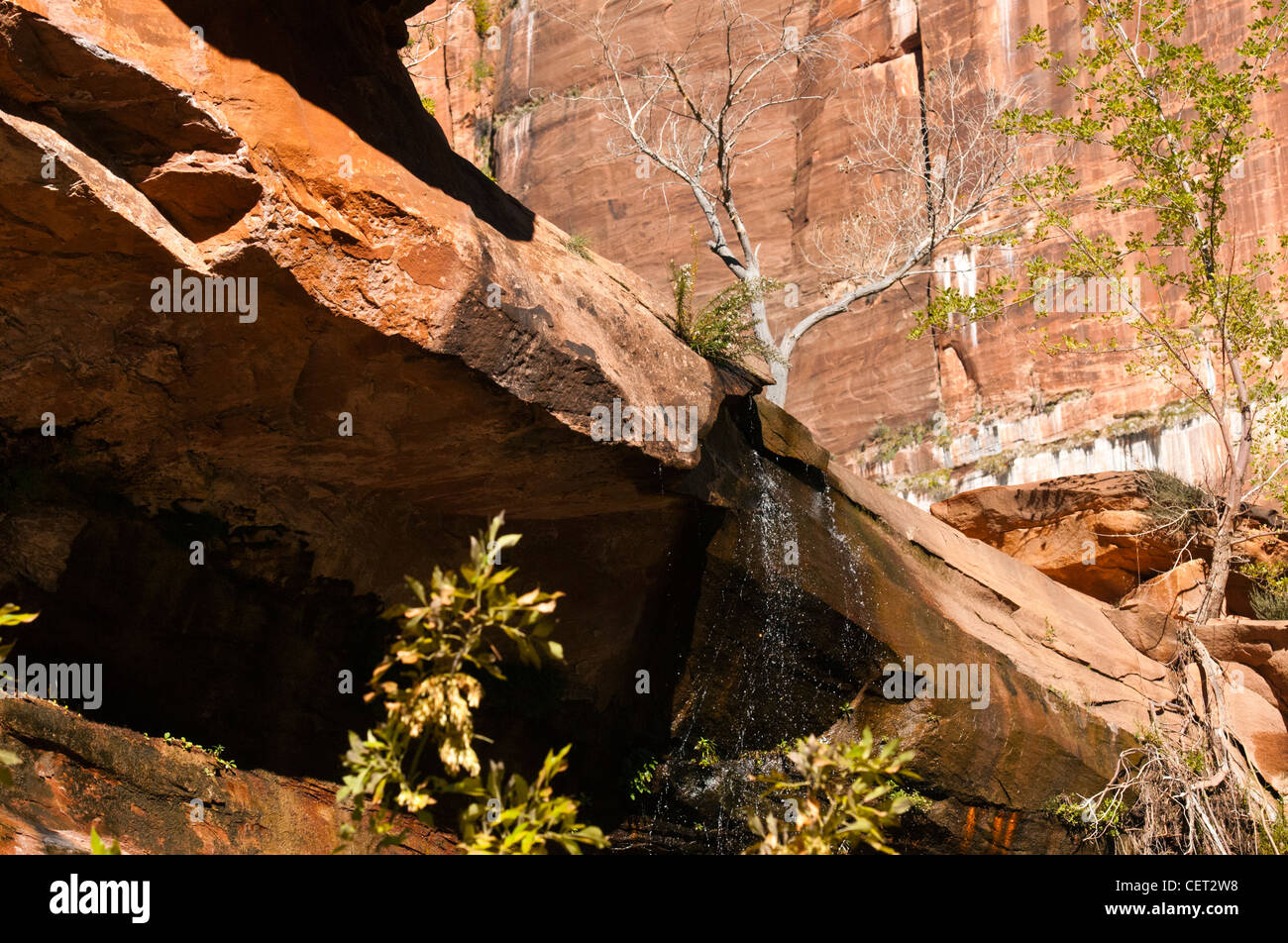 Rock ledge landscape with small waterfall Zion National Park, Utah USA ...