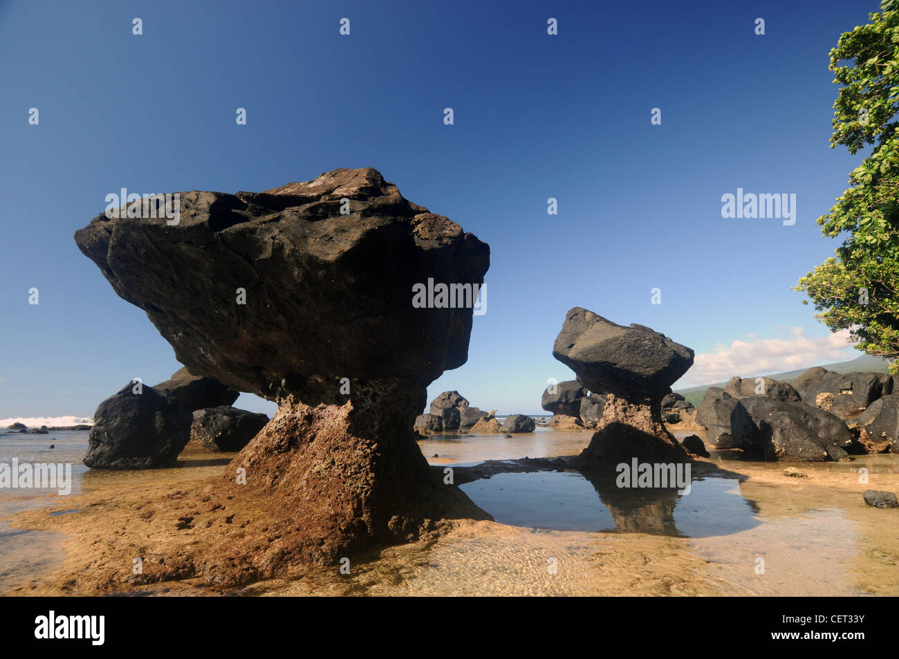 Fiji bouma national heritage park hi-res stock photography and images ...