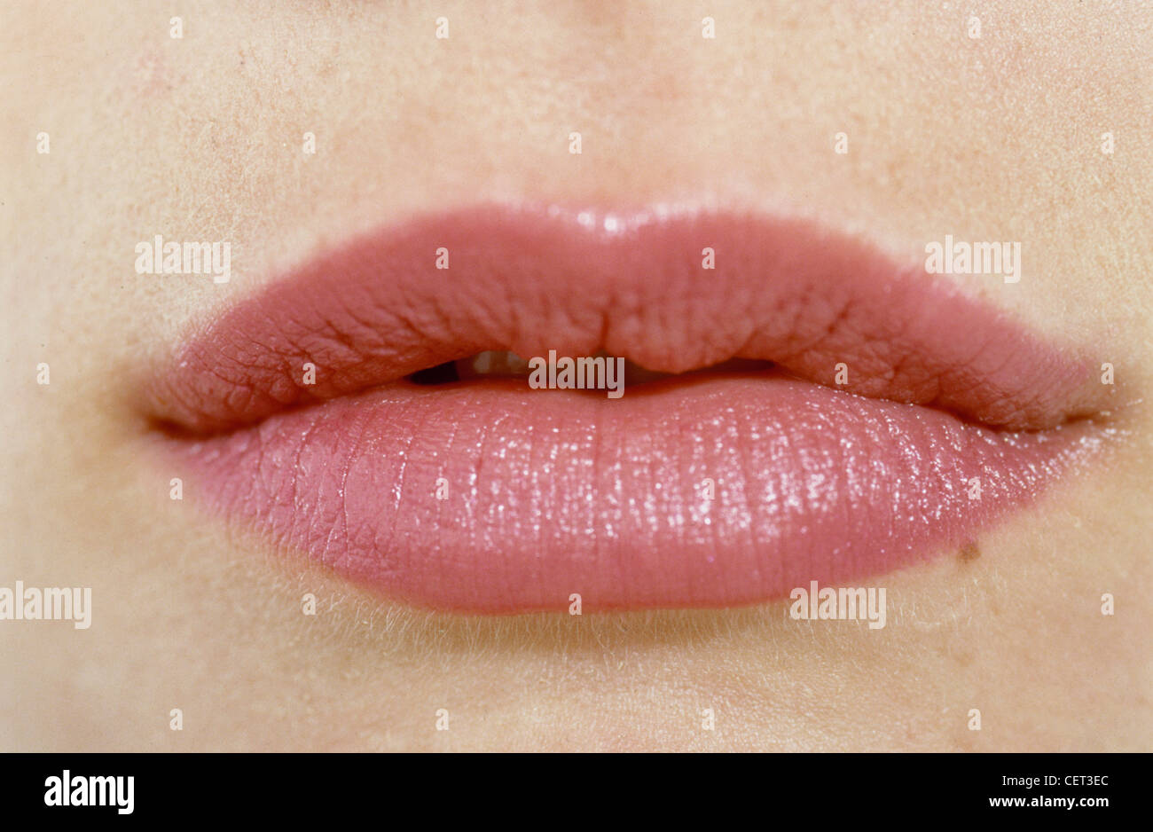 A close up image of female's lips, wearing pink lipstick Stock Photo ...